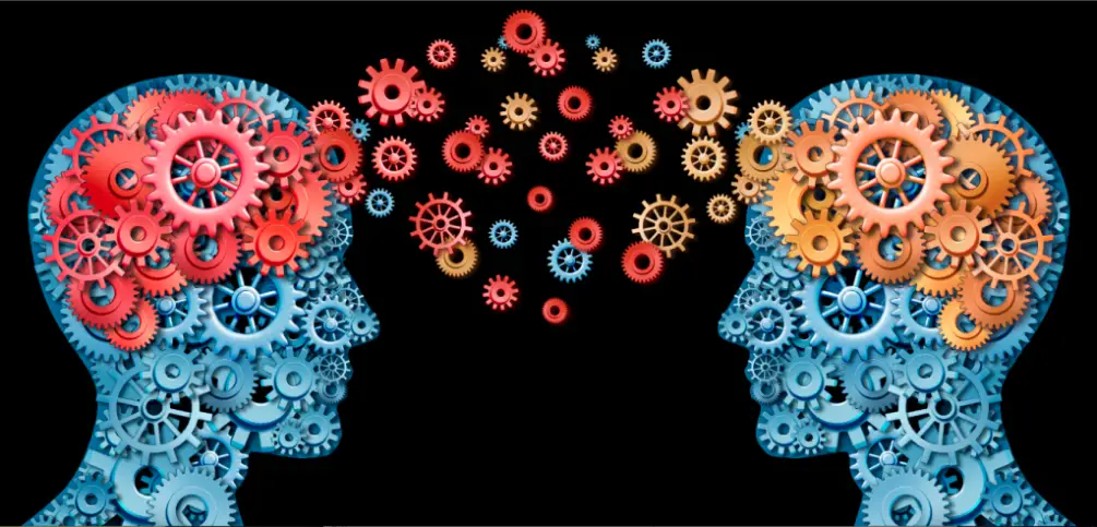 Guía máxima de la psicología, ¡claves, tipos y características! - Como ...