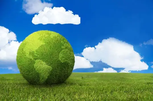 ¿Qué es el ambiente? Definición, características y funcionamiento ...