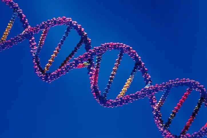 ¿Que es un alelo? Definición, concepto y significado - Como Funciona Que