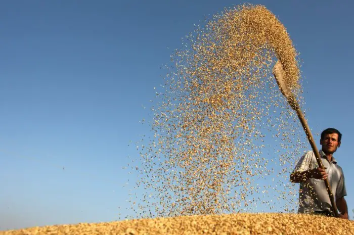 ¿Qué es FAO? Definición, concepto y significado - Como Funciona Que