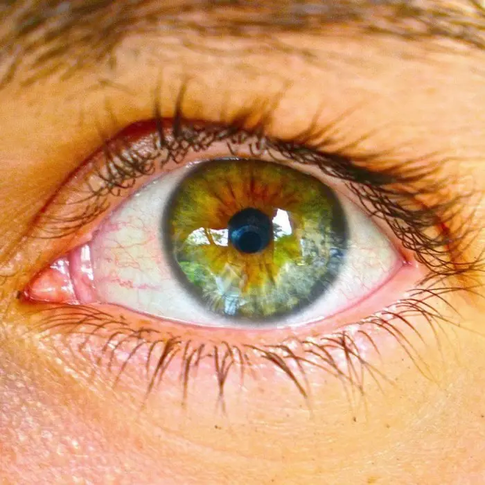 ¿Cómo se obtienen los ojos de color azul o verde? - Como Funciona Que