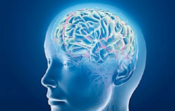 ¿Qué nos hace conscientes? - Como Funciona Que