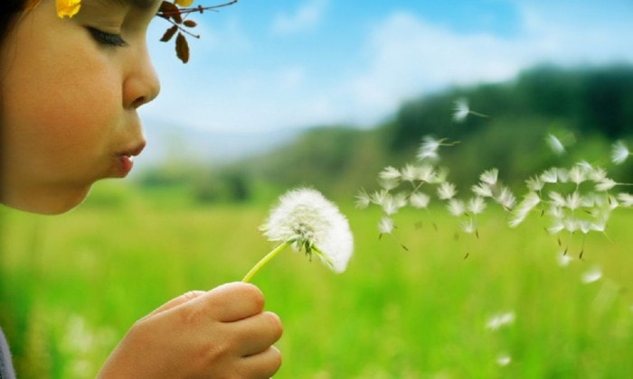 ¿Qué es la vida? Definición, Significado y Concepto - Como Funciona Que